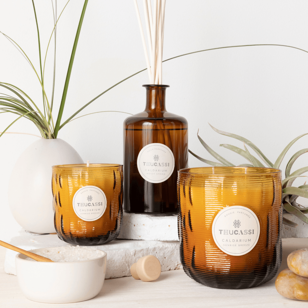 Partners – CODARUS